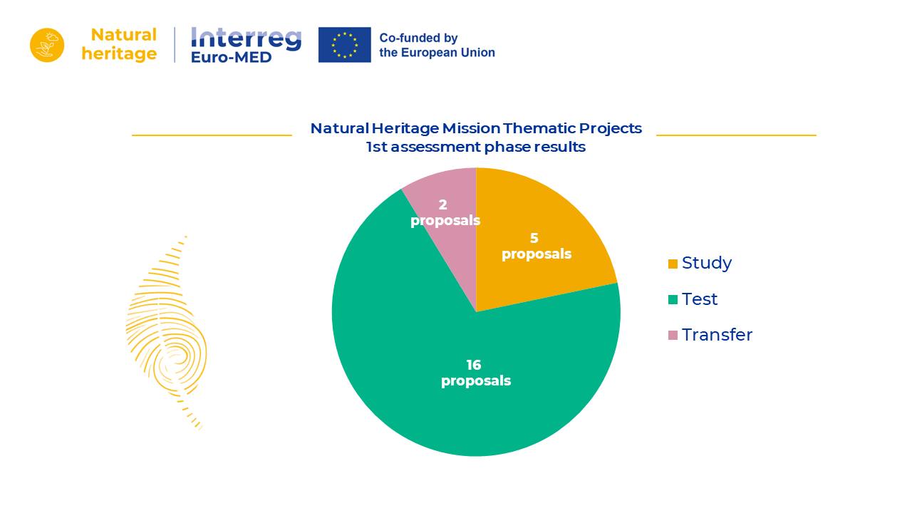 1st phase of Thematic Projects assessment - Interreg Euro-MED : Natural ...
