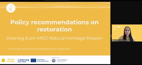 Home - Interreg Euro-MED : Natural heritage